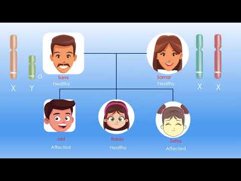 Pedigree analysis/autosomal recessive disease.