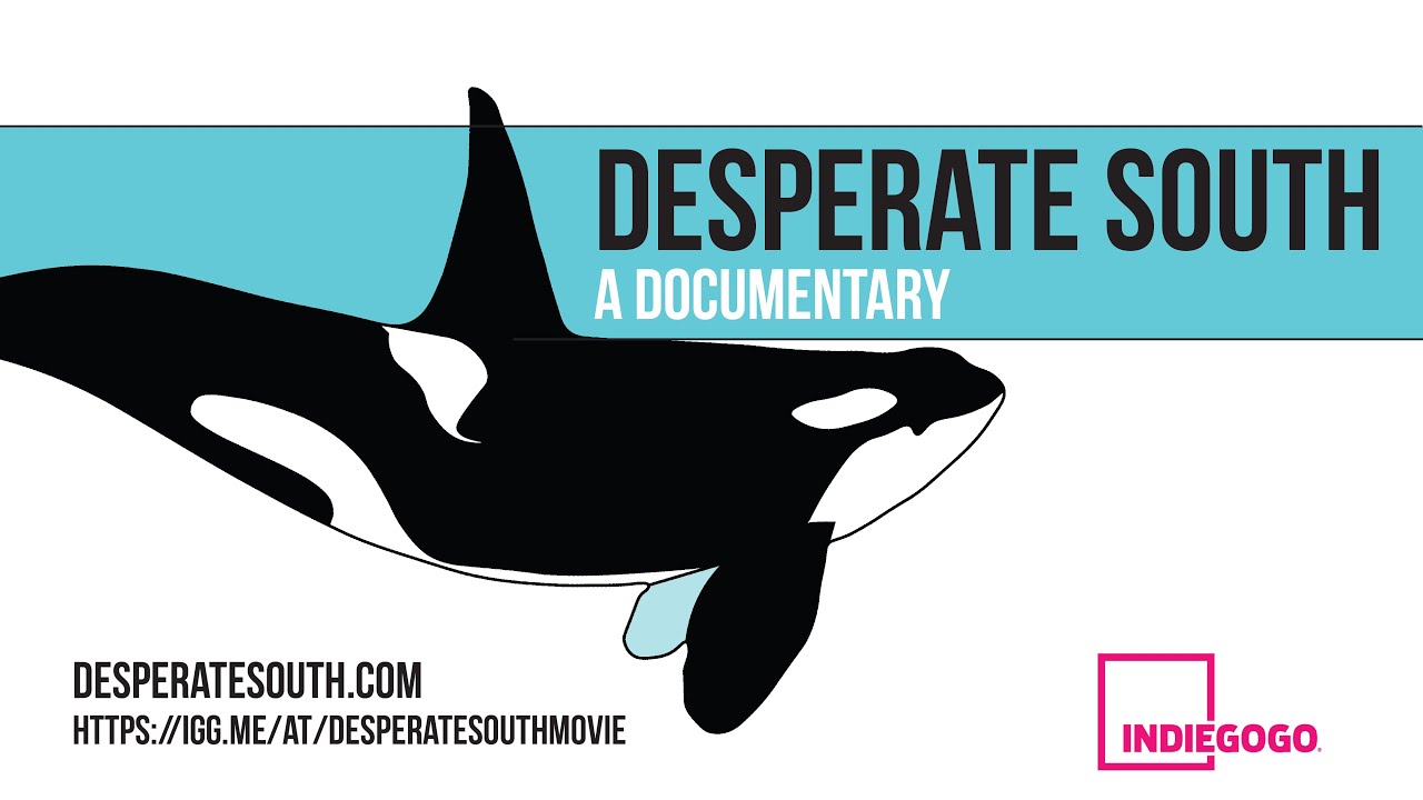Desperate South: A Documentary INDIEGOGO