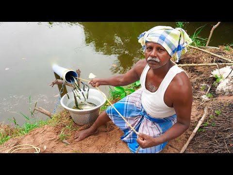 PVC Pipe Fish Trapping 😱Traditional Fishing Made Easy!!!🐟🎣 #asmr #gramophonevillage