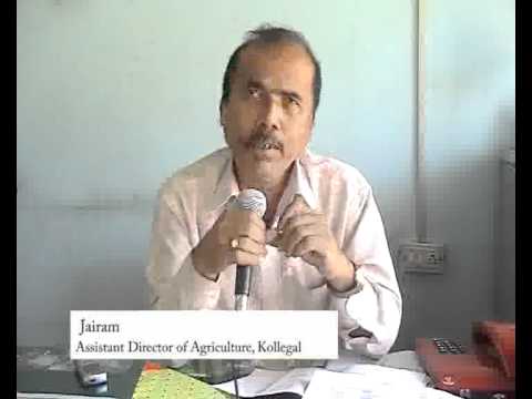Rohan Endosulfan.flv