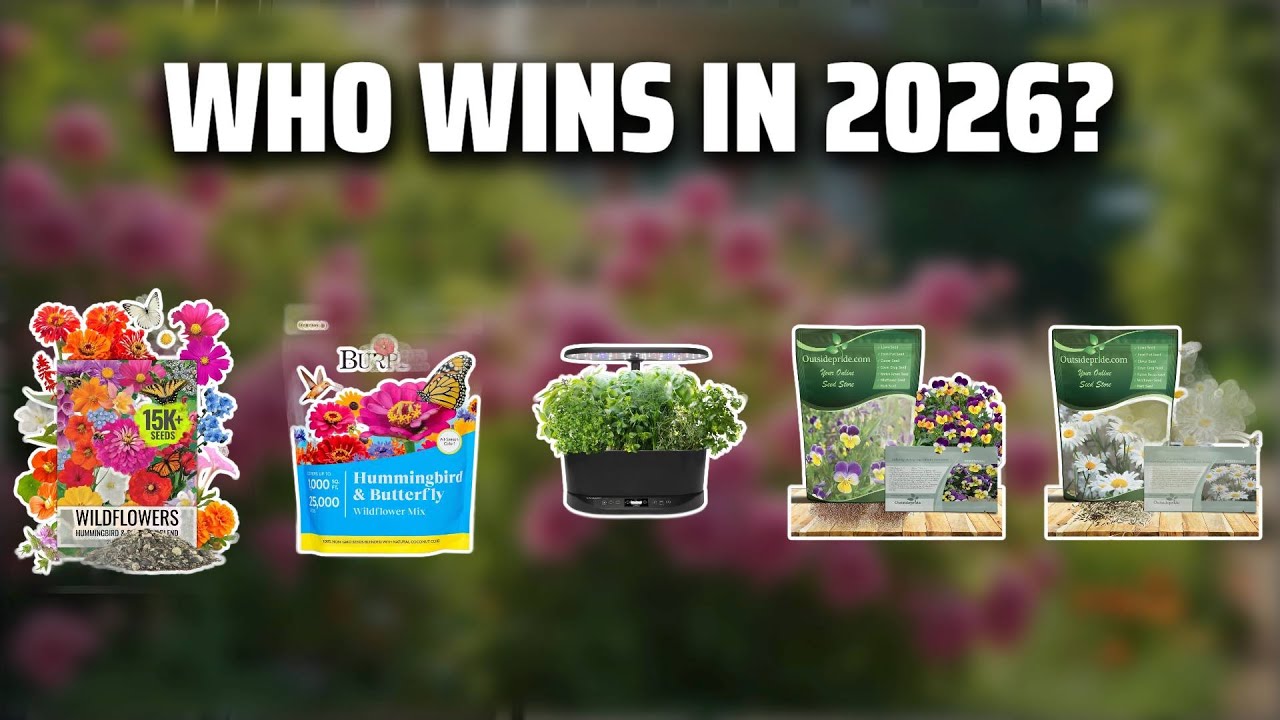 The Top 5 Best Flower Seeds in 2026 - Must Watch Before Buying!