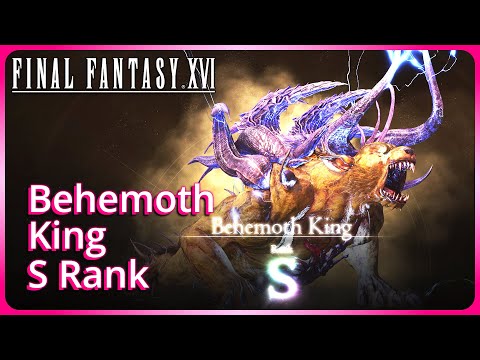 Steam Community :: Video :: 『FFXVI』Behemoth King S Rank + New Broken Combo