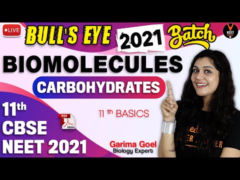 Carbohydrates Biomolecules - Biology Class 11 - NEET 2021 Preparation ...