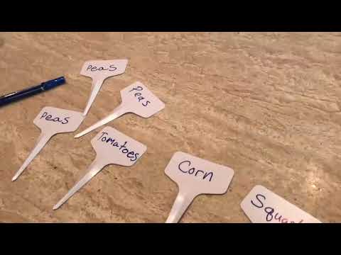 12 Do Nows to Teach Close and Critical Reading with Visual Texts | The ...