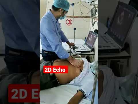 2D ECHO