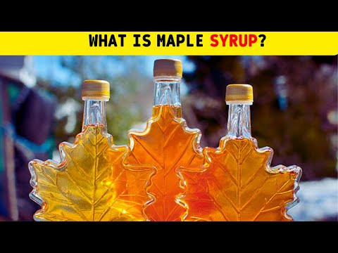 What is maple syrup?