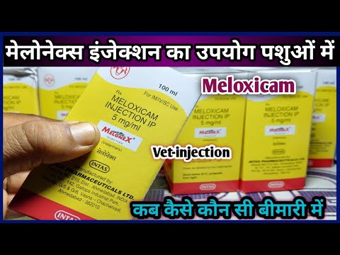 Meloxicam Tablet - Melorise 7.5 Tablet Latest Price, Manufacturers ...