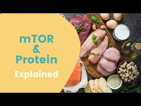 mTOR protein MYSTERY unraveled | How to Live Longer and Look Younger