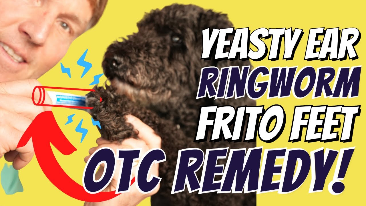Paw Licking, Ear Scratching, Ringworm: Simple and Cheap OTC Remedy