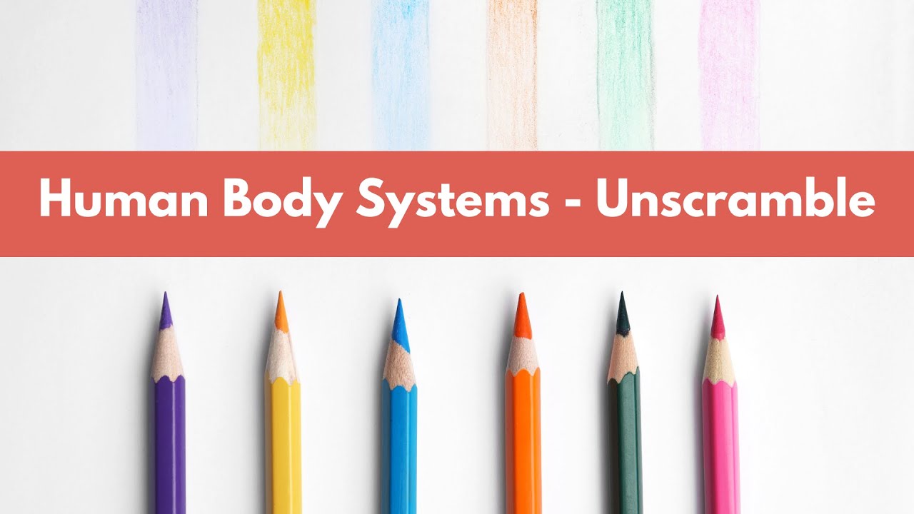 HUMAN BODY SYSTEMS SCIENCE ACTIVITY - SCRAMBLE WORDS VOCABULARY WORD GAME PUZZLE