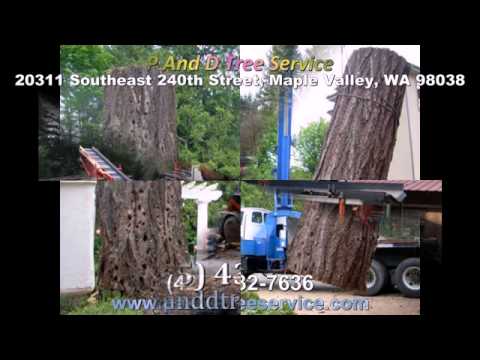 Tree-Trimming