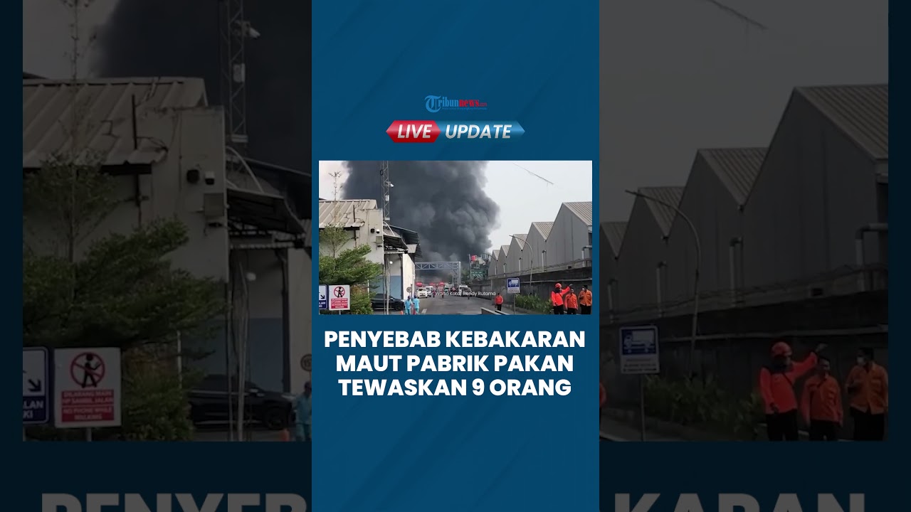 5 Fakta Kebakaran Maut Pabrik Bekasi Tewaskan 9 Pekerja, Dipicu Ledakan Alat Produksi - Tribun Video