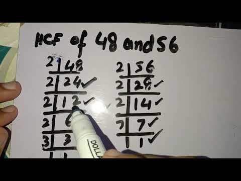 Prime factors of 48 by prime factorization method | Prime factorisation of 48 | factors of 48