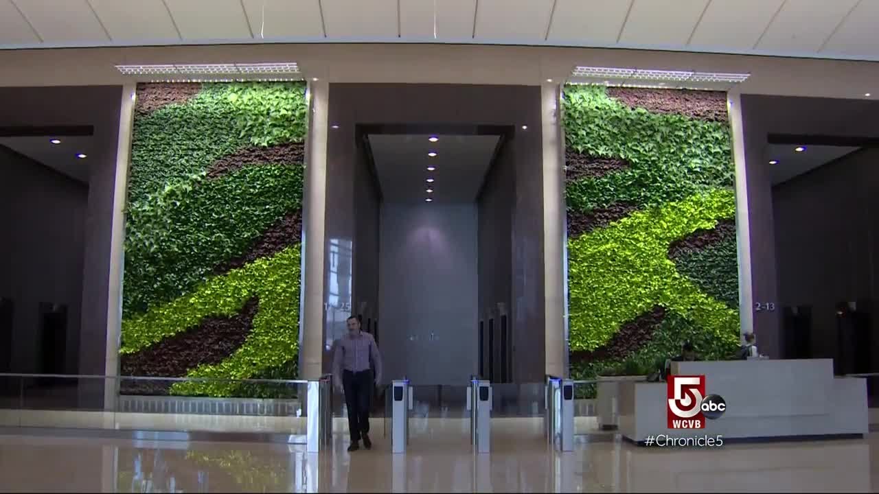 Bringing the Outside In: Boston's Biophilia