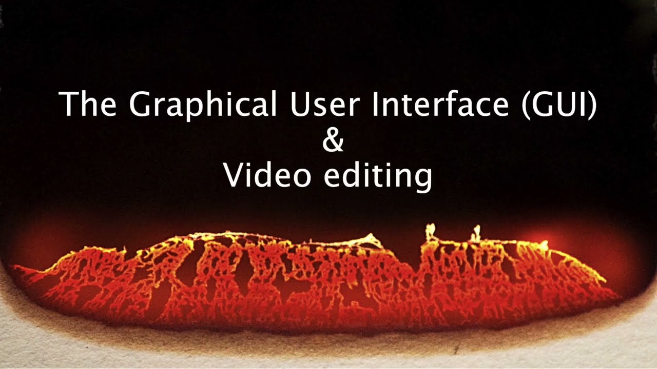 (old version) Flame Tracker: User interface and video editing