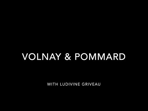 Hospices de Beaune 2020: Volnay & Pommard with Jasper Morris