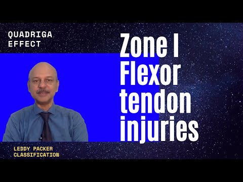 Repair of Zone I Flexor tendon injuries and understanding the protocols of management