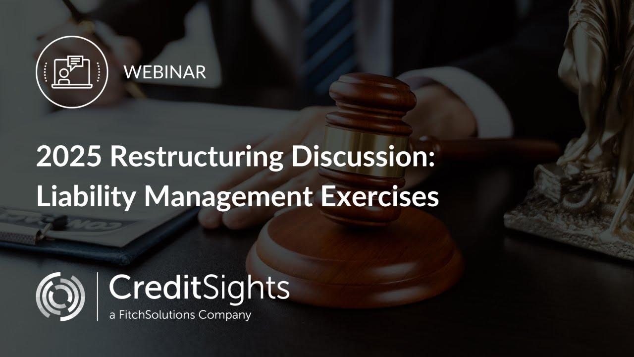 2025 Restructuring Discussion | Liability Management Exercises