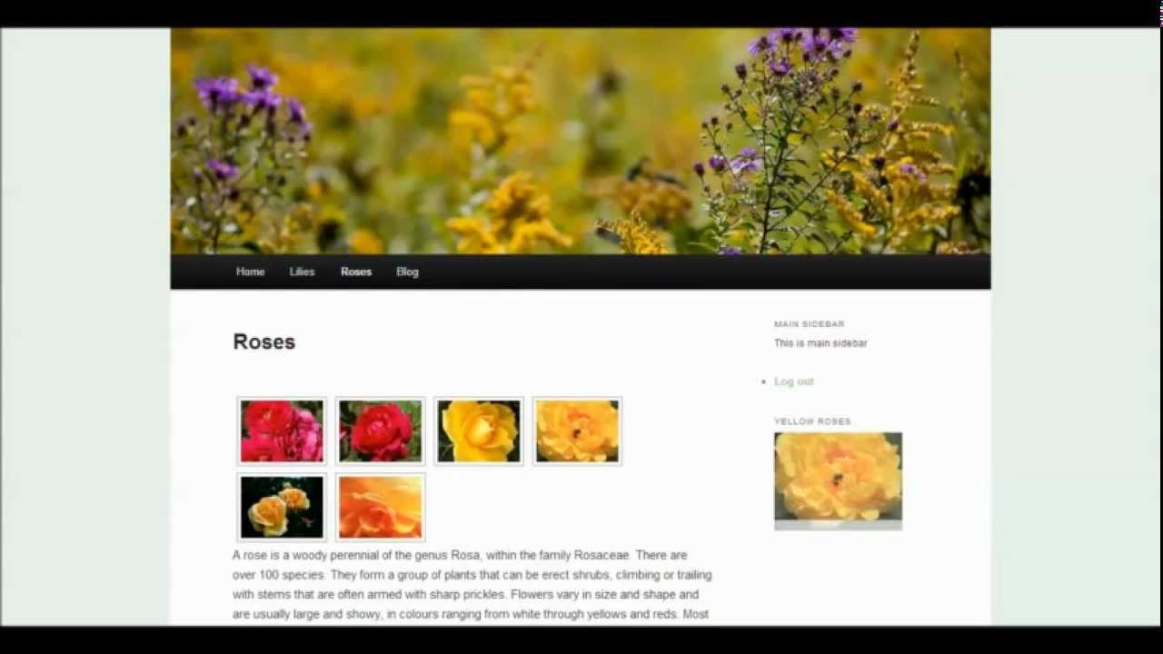 Basic Introduction to Using NextGen Gallery for WordPress