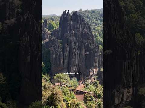 You Won't Believe This Exists!