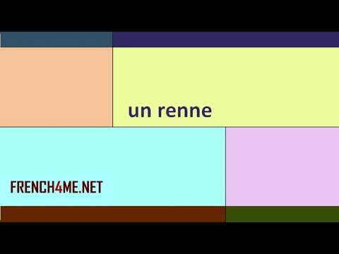 French For Beginners I How to pronounce I un renne
