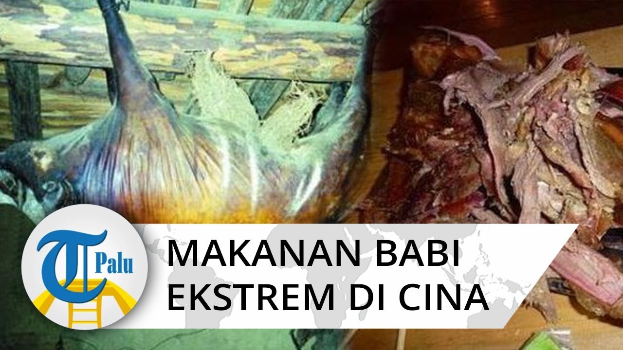 Makanan Ekstrem di Cina, Daging Babi Busuk Digantung 30 Tahun Harganya ...