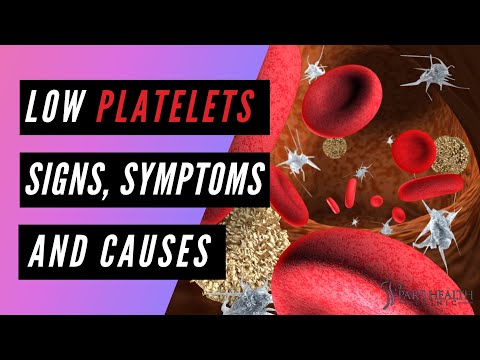 Low Platelets Signs and Symptoms
