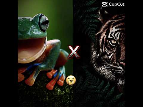 #tiger #and #frog #dna