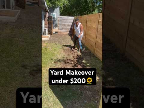 Cheap Landscaping Ideas Under $200