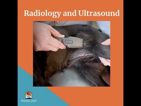 Veterinary Medicine Services with Marc Smith #DVM, MS of Natchez Trace Veterinary Services