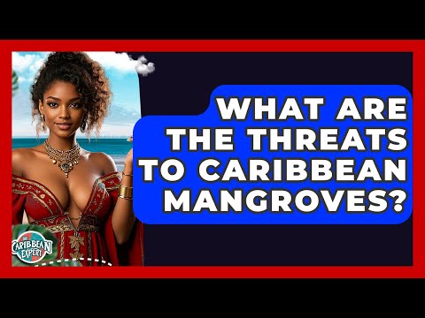 What Are The Threats To Caribbean Mangroves? - The Caribbean Expert