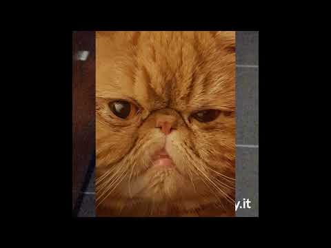 Steam Community :: Video :: Poopy Man Episode 2