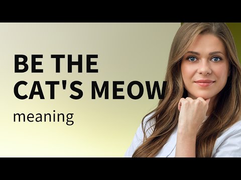 The Cat's Meow: Unraveling Slang in English