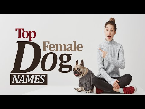 female dog names in English Vocabulary