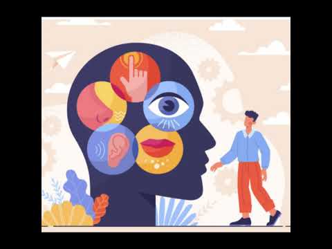 Phenomenology