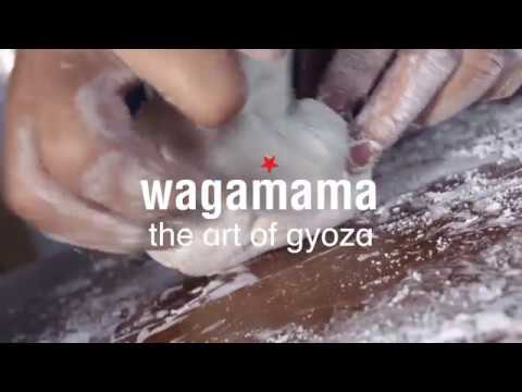 the art of gyoza