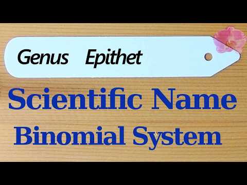 Orchid Tag Part 1-Orchid's scientific name