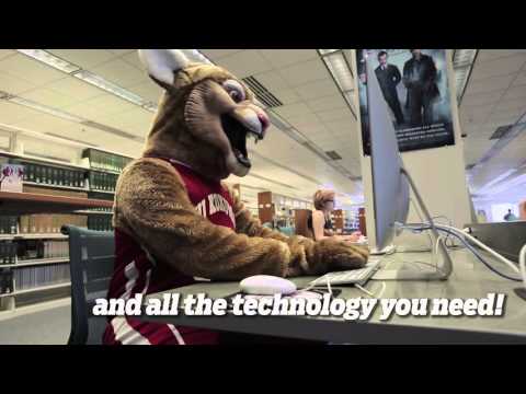 This is Cougar Country - The Library
