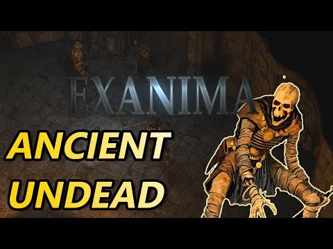 Steam Community :: Video :: Exanima 0.7.0.6 NPC + Ancient Undead Level ...
