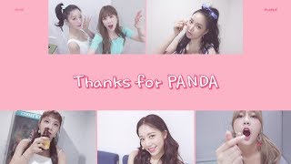 에이핑크) Apink 에이핑크 A L R I G H T Video Self Cam Ver - 인스티즈(instiz) 예인영상 (종료) 카테고리