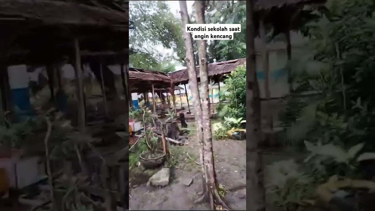 Pohon tumbang akibat angin kencang di SMP Negeri 4 Randangan Satu atap