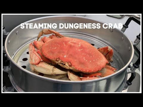 How to STEAM DUNGENESS CRAB | House of X Tia