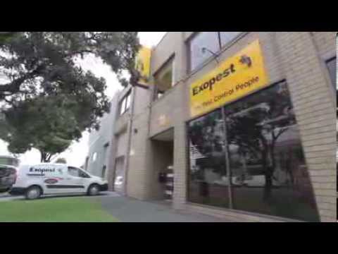 Pest Control Melbourne | 1800 686 299 | Exopest Exopest