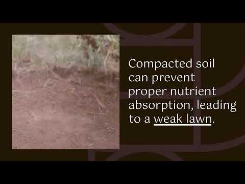 Lawn Care Services in Frisco: Transform Your Outdoor Space with JC's Landscaping LLC