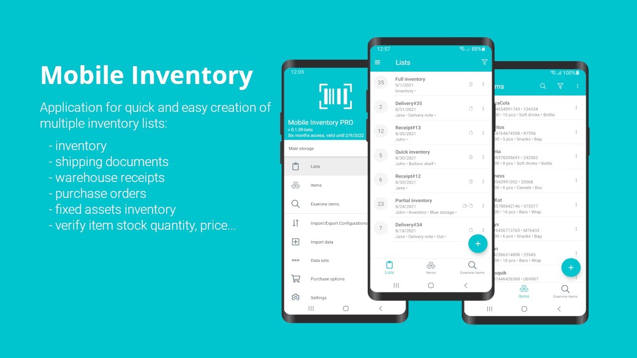 Mobile Inventory PRO - Brief Example