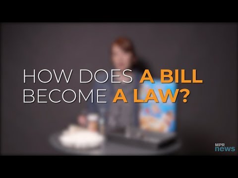 Legislature Explained: How a bill becomes a law in Minnesota