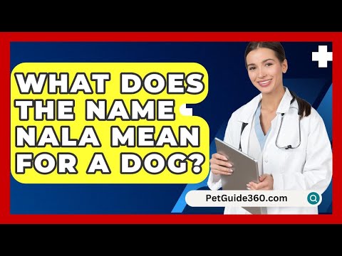What Does The Name Nala Mean For A Dog? - PetGuide360.com