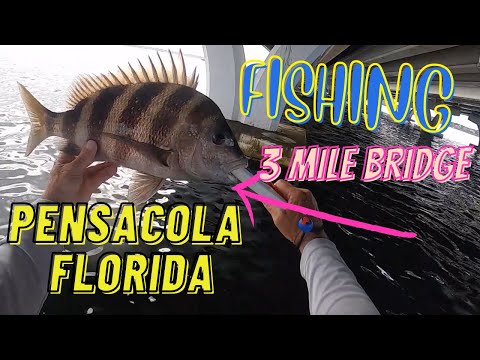 Winter 3 Mile Bridge Fishing - Pensacola, Florida