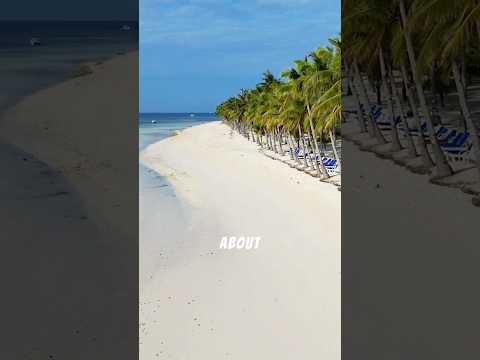 5 Mind-Blowing Facts About the Dominican Republic 🇩🇴 You Never Knew!