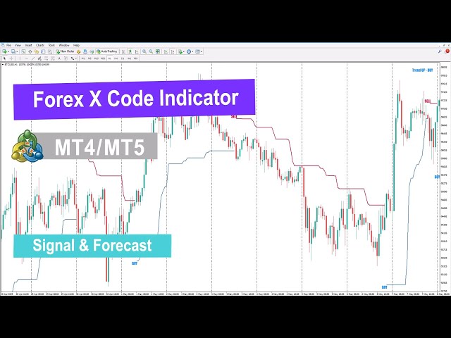 Understanding the Forex X Code Indicator for MT4/5 | Galaxy